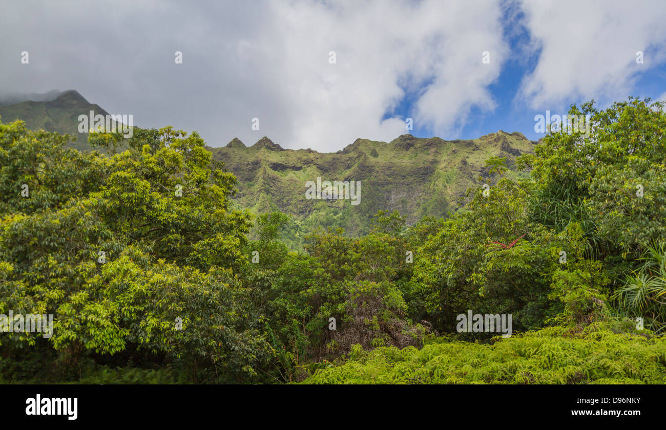 Ko'olau Mountains, Kaneohe, Oahu Hawaii Stock Photo - Alamy