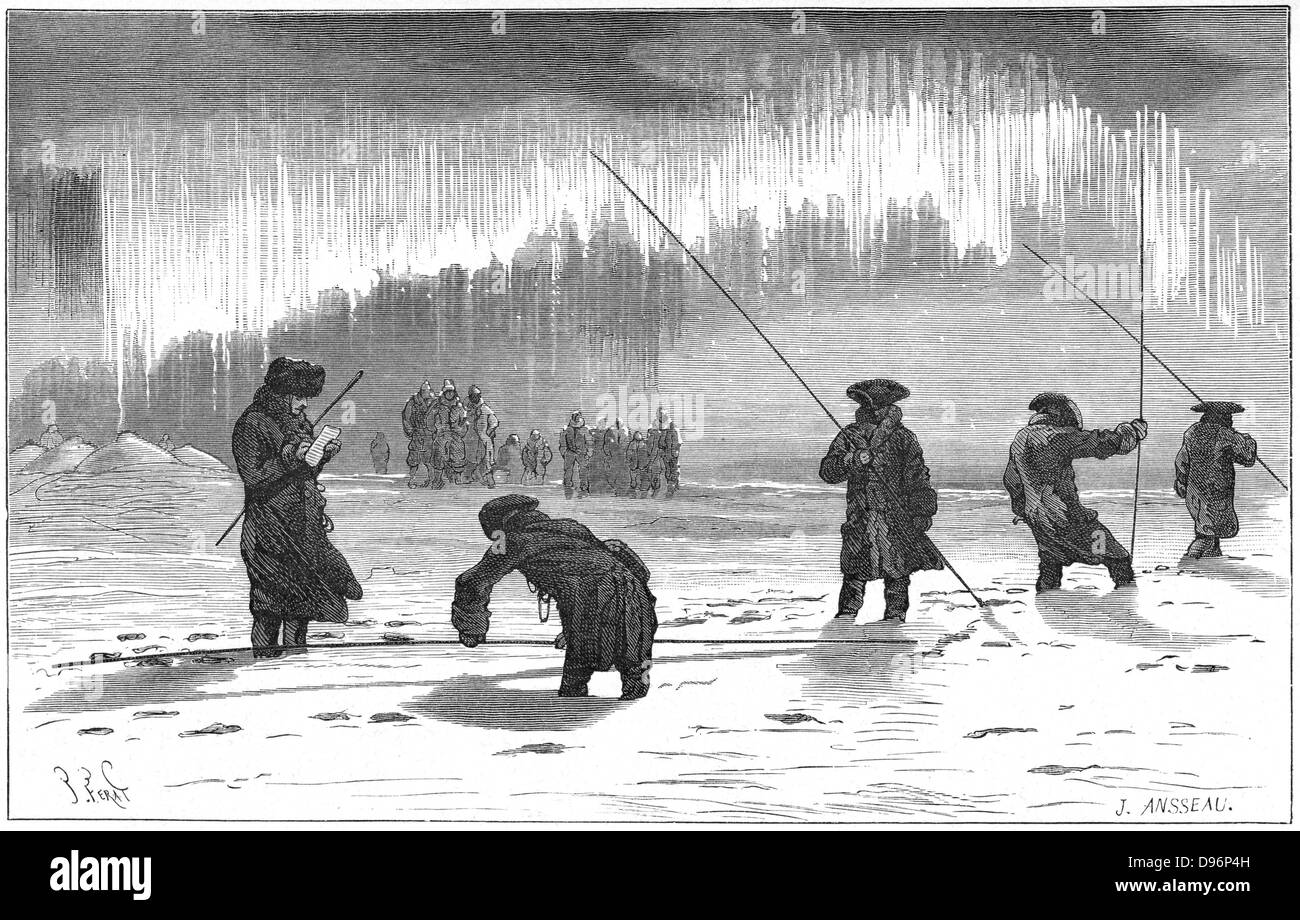 Insects in summer Black and White Stock Photos & Images - Alamy