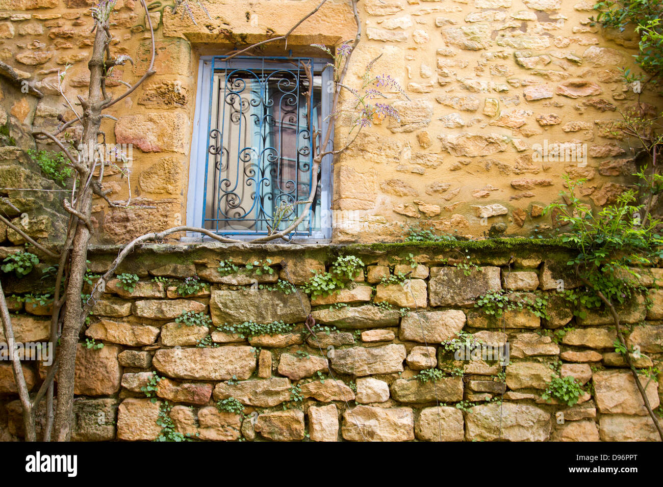 Vines growing around wrought iron window above old sandstone wall in ...