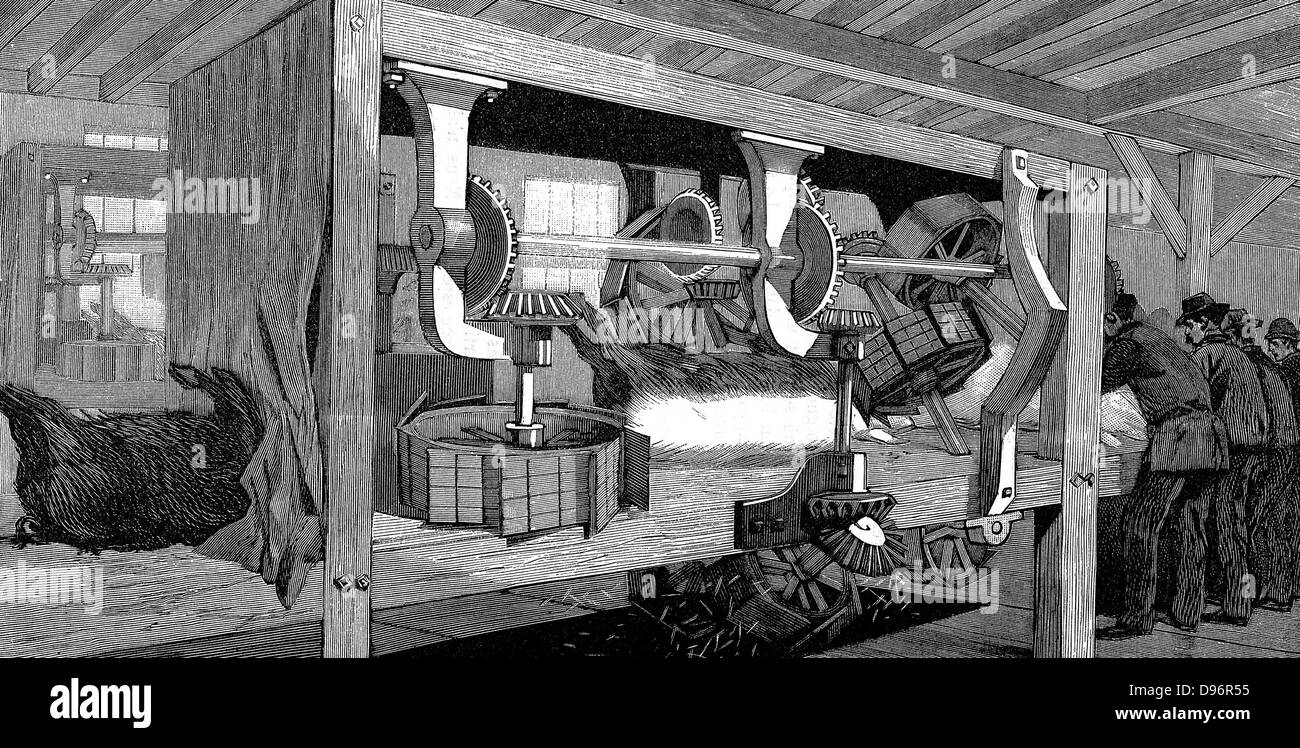 One of the earliest production lines: Armour Company's pig ...