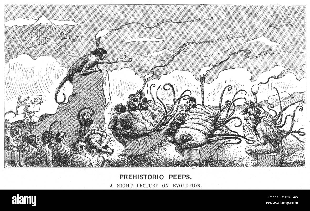 Prehistoric Peeps: Monkeys attending an evening lecture. Cartoon on ...