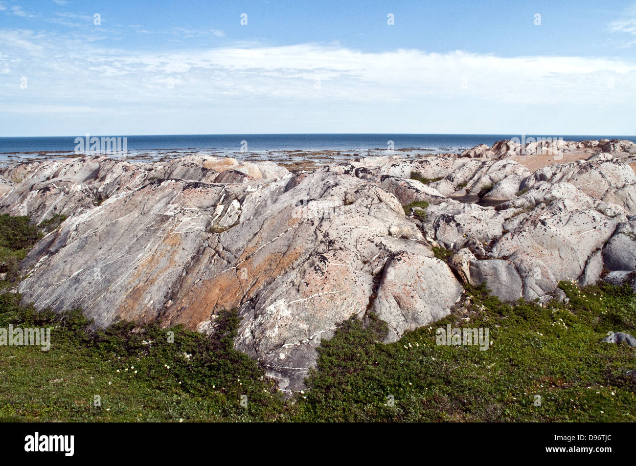 Canada canadian shield hi-res stock photography and images - Alamy