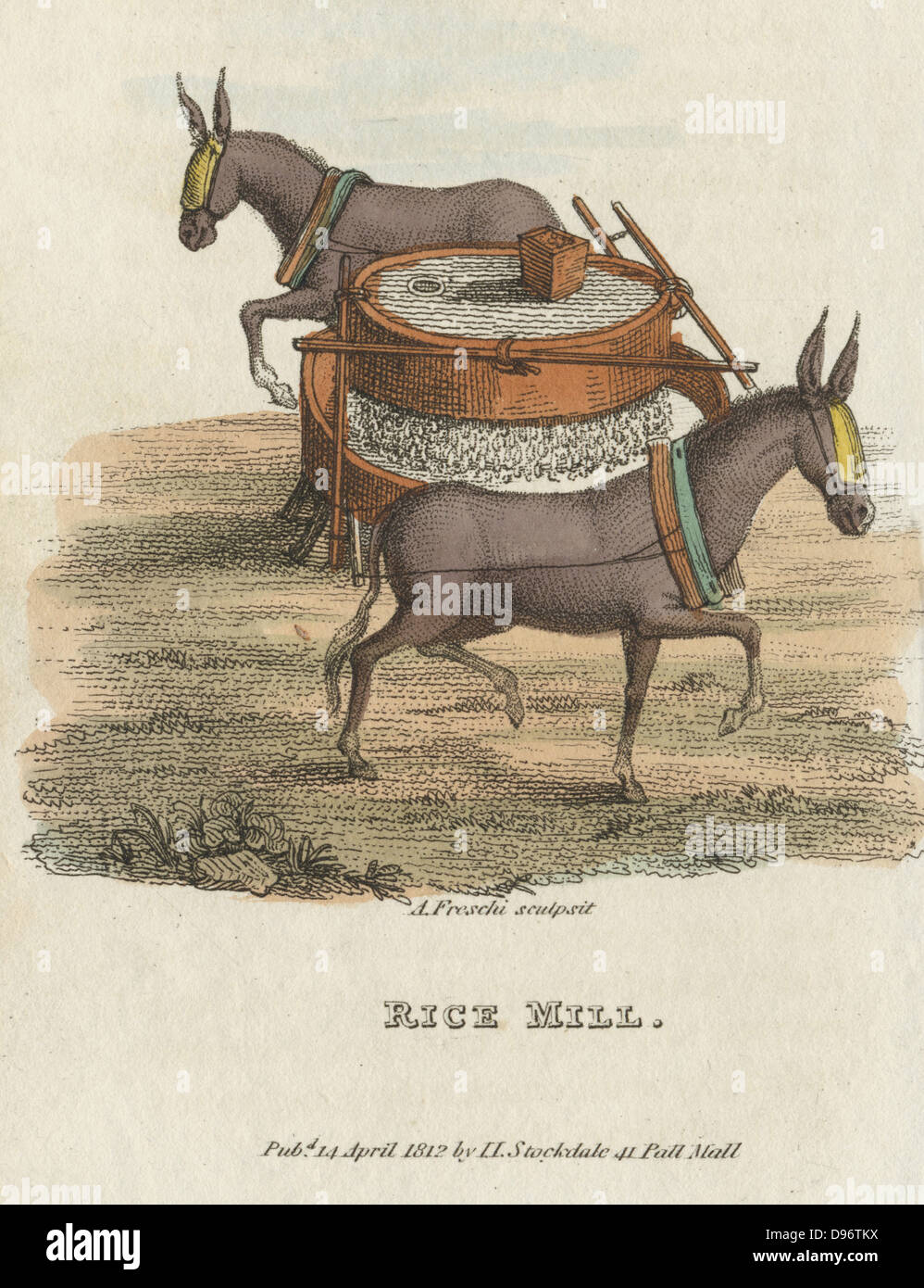 My favorite demon designs ever, the Zoma : r/Megaten