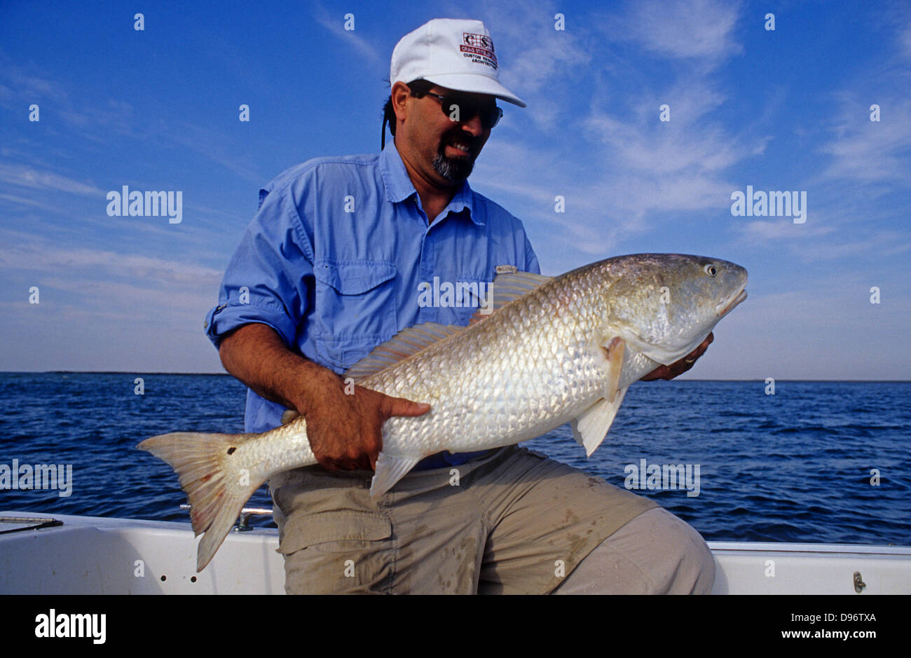Bull Redfish Wallpaper