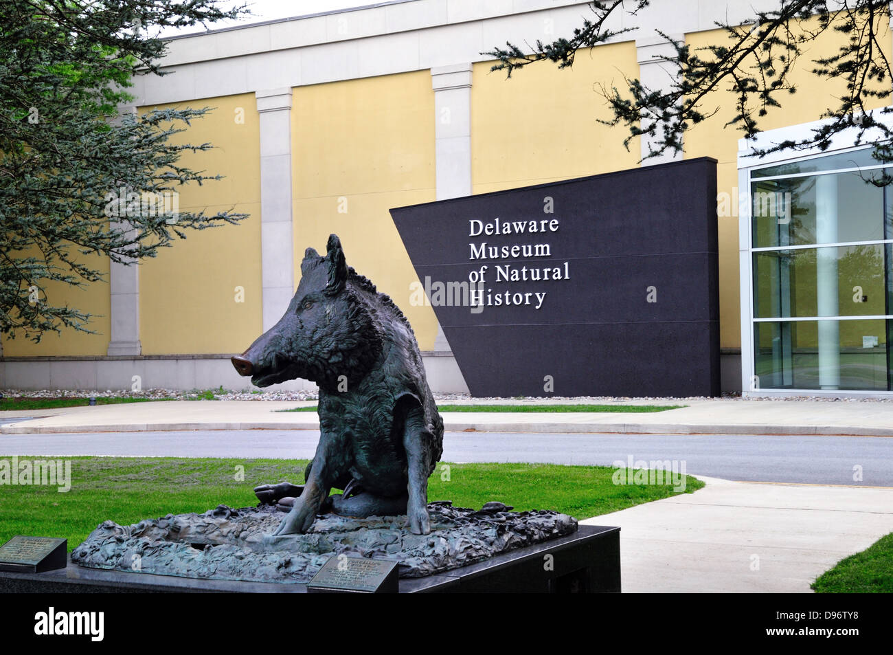 Statue of Il porcellino, the wild boar, outside the Delaware Museum of ...