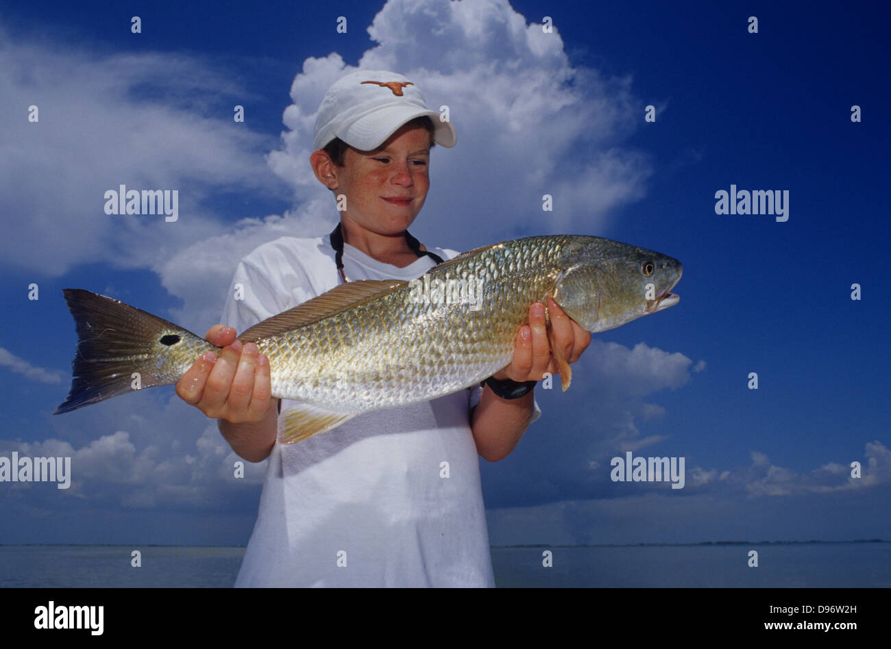 A young boy with a redfish or red drum (Sciaenops ocellatus) caught ...