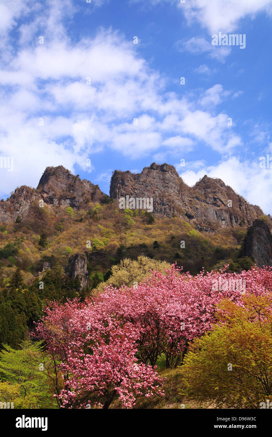 Mt. Myougi and double cherry blossoms, Gunma, Japan Stock Photo - Alamy