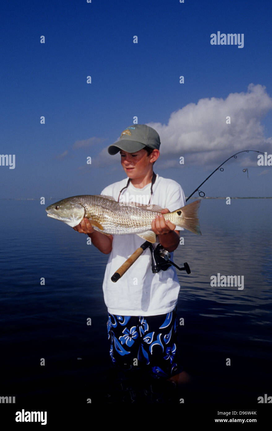 Young boy with a red drum or redfish (Sciaenops ocellatus) caught while ...