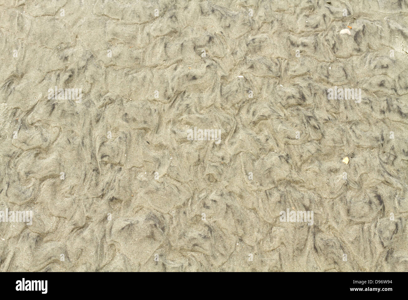 Wet beach sand with contrasting light and dark texture typical along ...