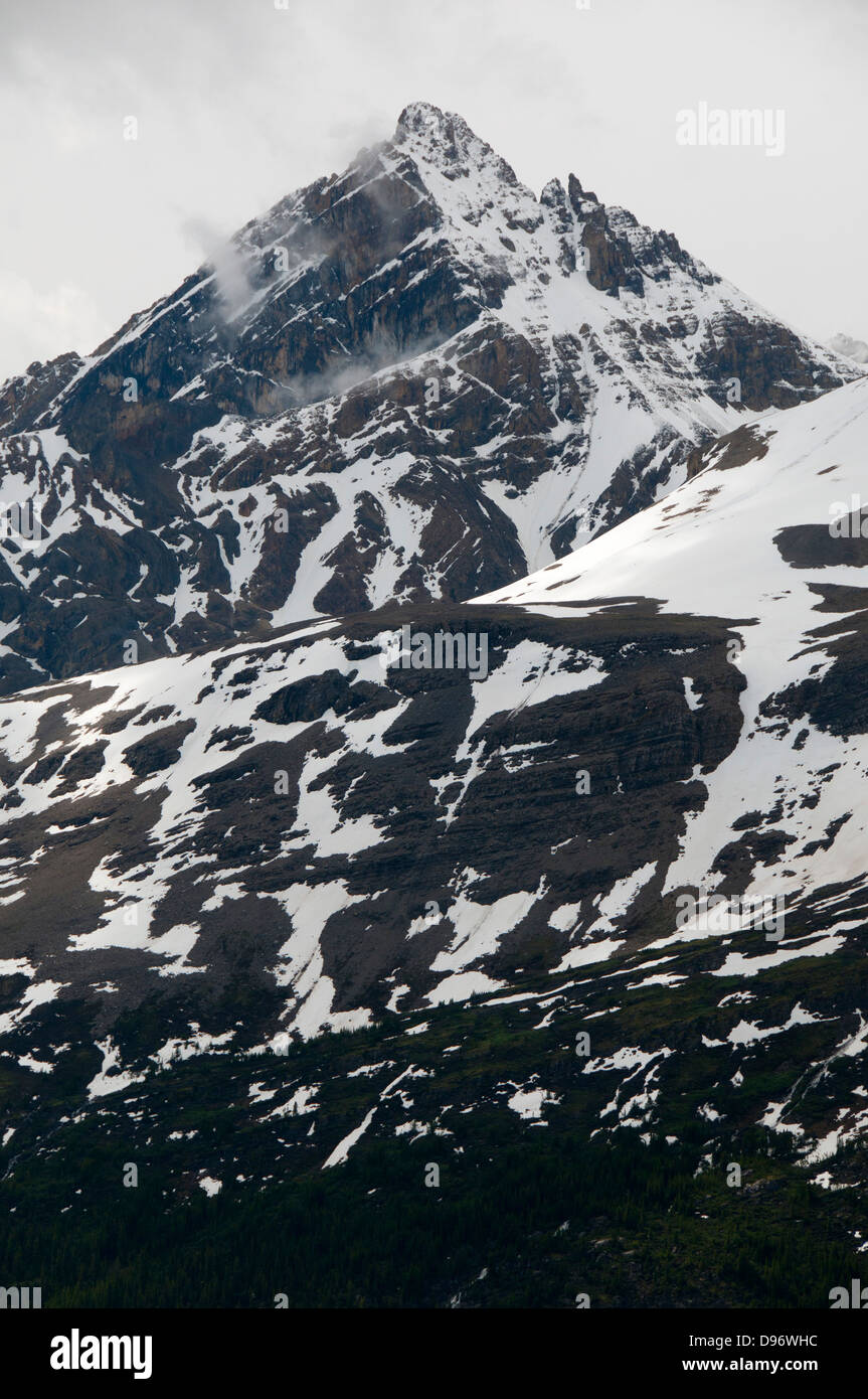 From Wilcox Pass High Resolution Stock Photography and Images - Alamy