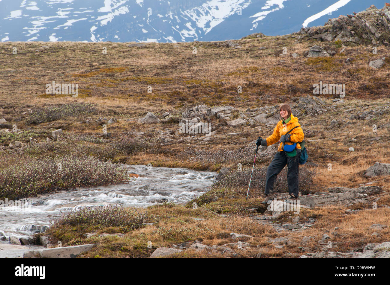 Alpine creek hi-res stock photography and images - Alamy