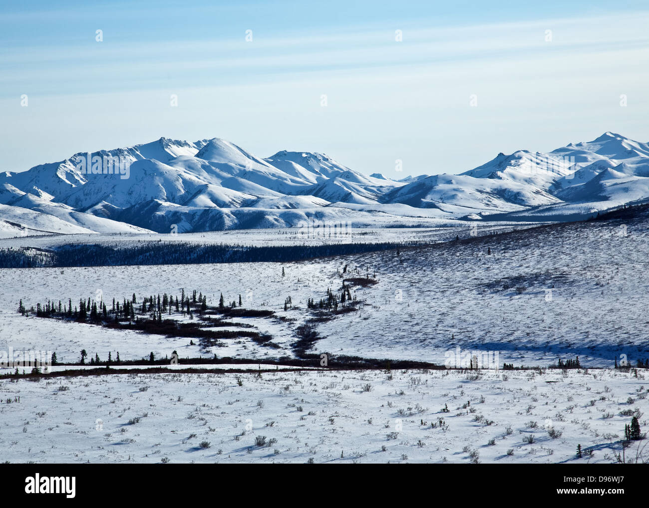 Snow-covered mountains rise above fields and forests in Denali National ...