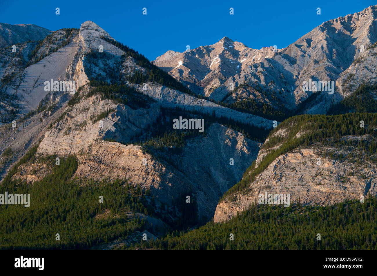 Colin Range, Jasper National Park, Alberta, Canada Stock Photo - Alamy