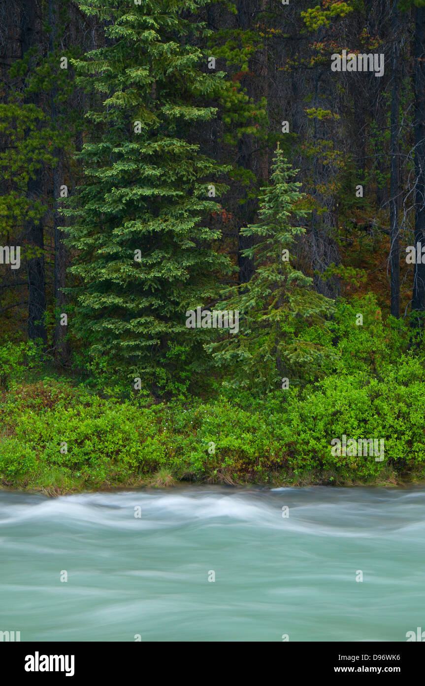 Maligne River, Jasper National Park, Alberta, Canada Stock Photo - Alamy