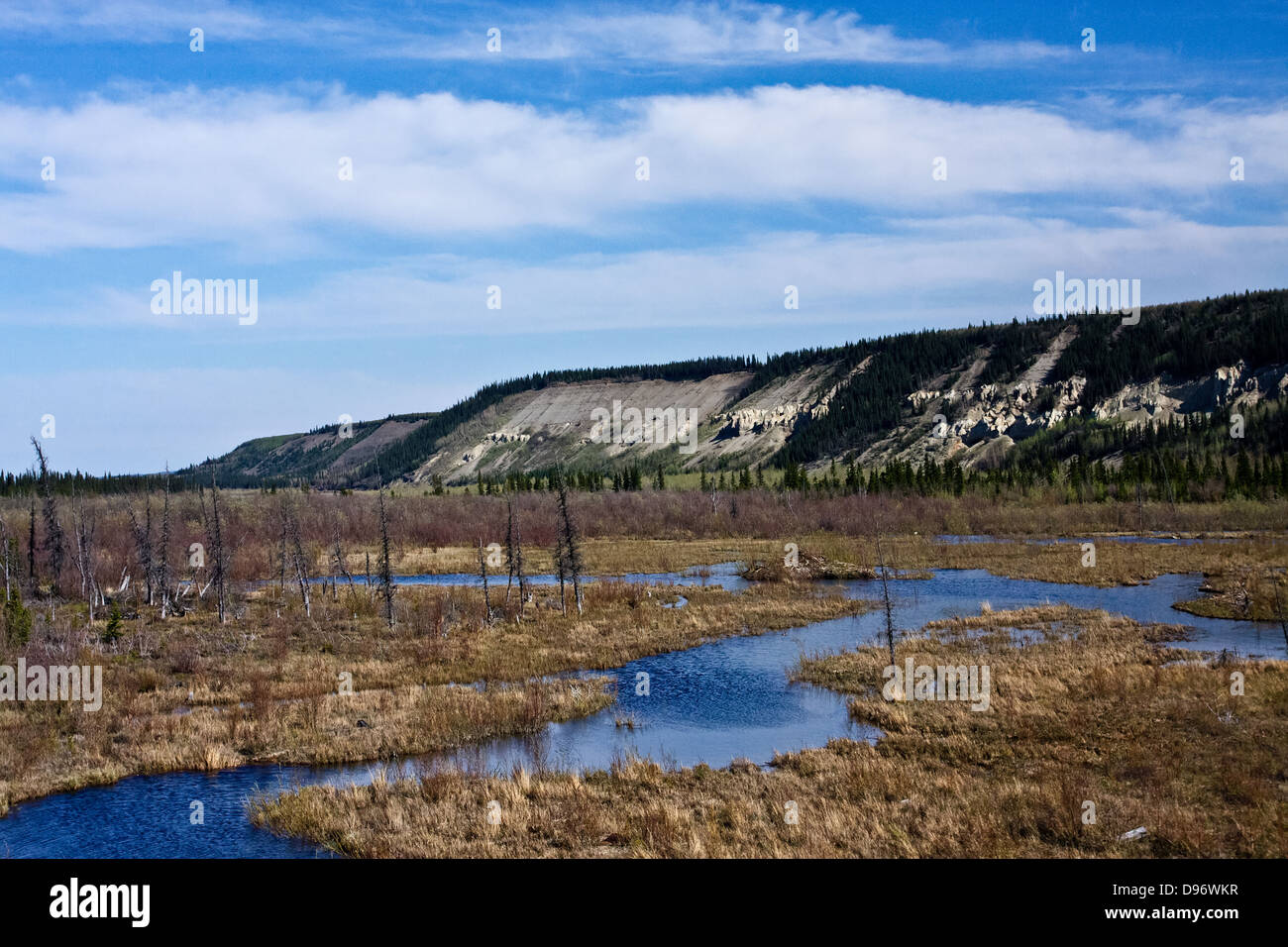 Interior alaska hi-res stock photography and images - Alamy