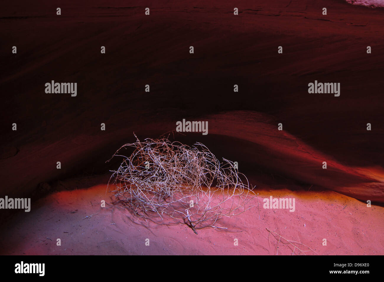 Antelope canyon tumbleweed hi-res stock photography and images - Alamy