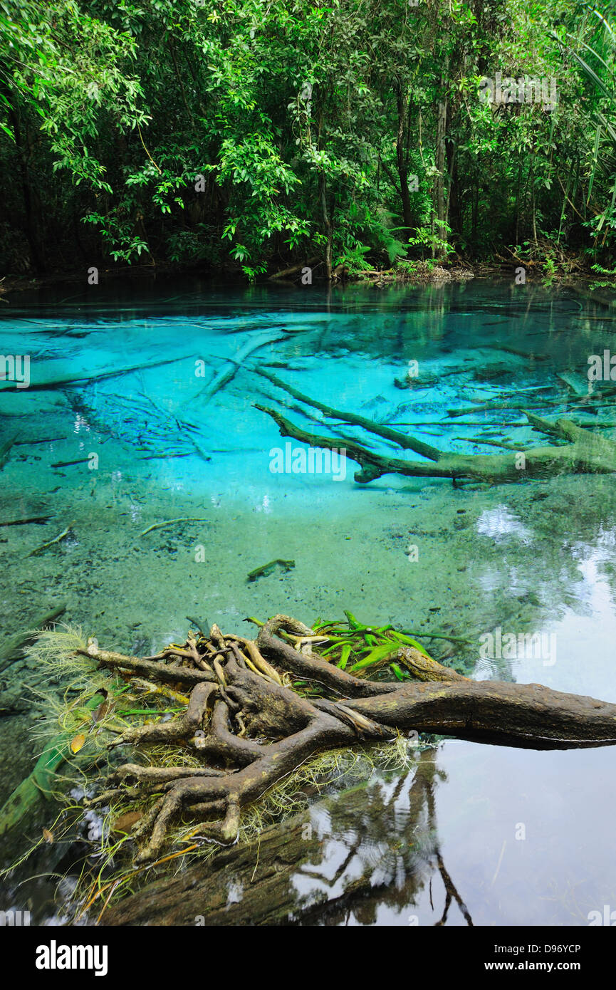 Blue Lake in Deep Forest Stock Photo - Alamy