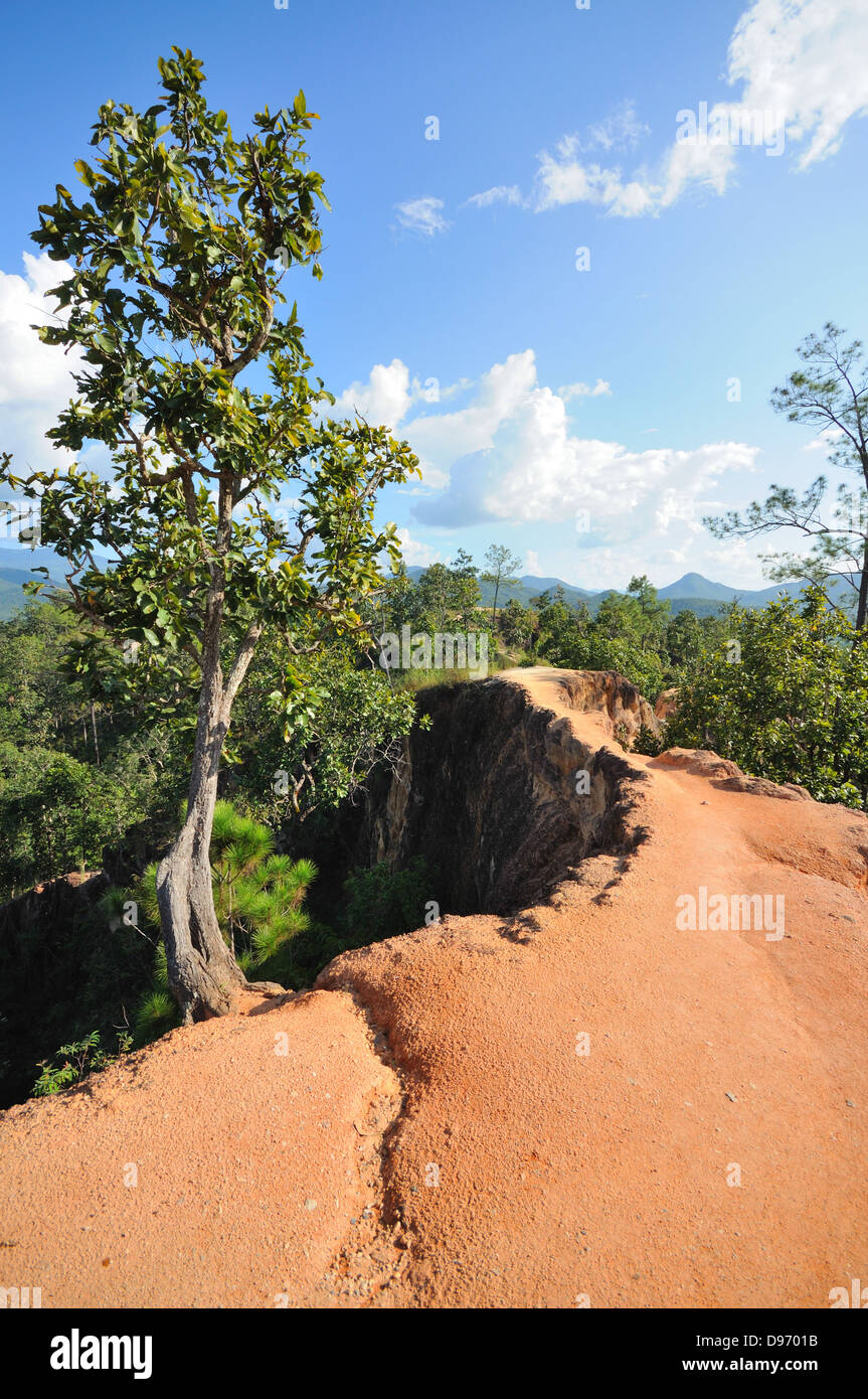 Cracked ground at the high mountain in thailand Stock Photo - Alamy