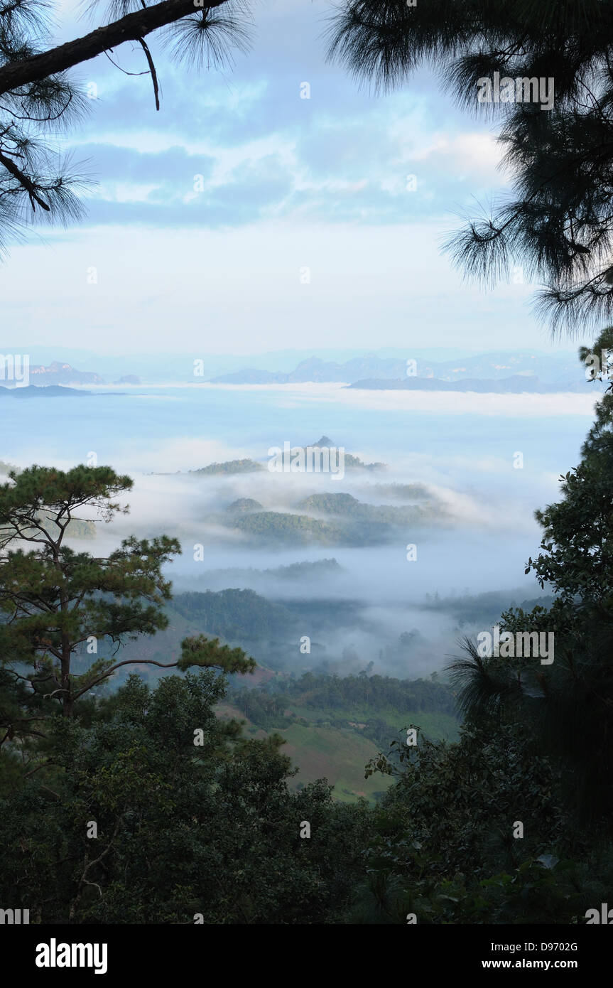 Early morning country garden hi-res stock photography and images - Alamy