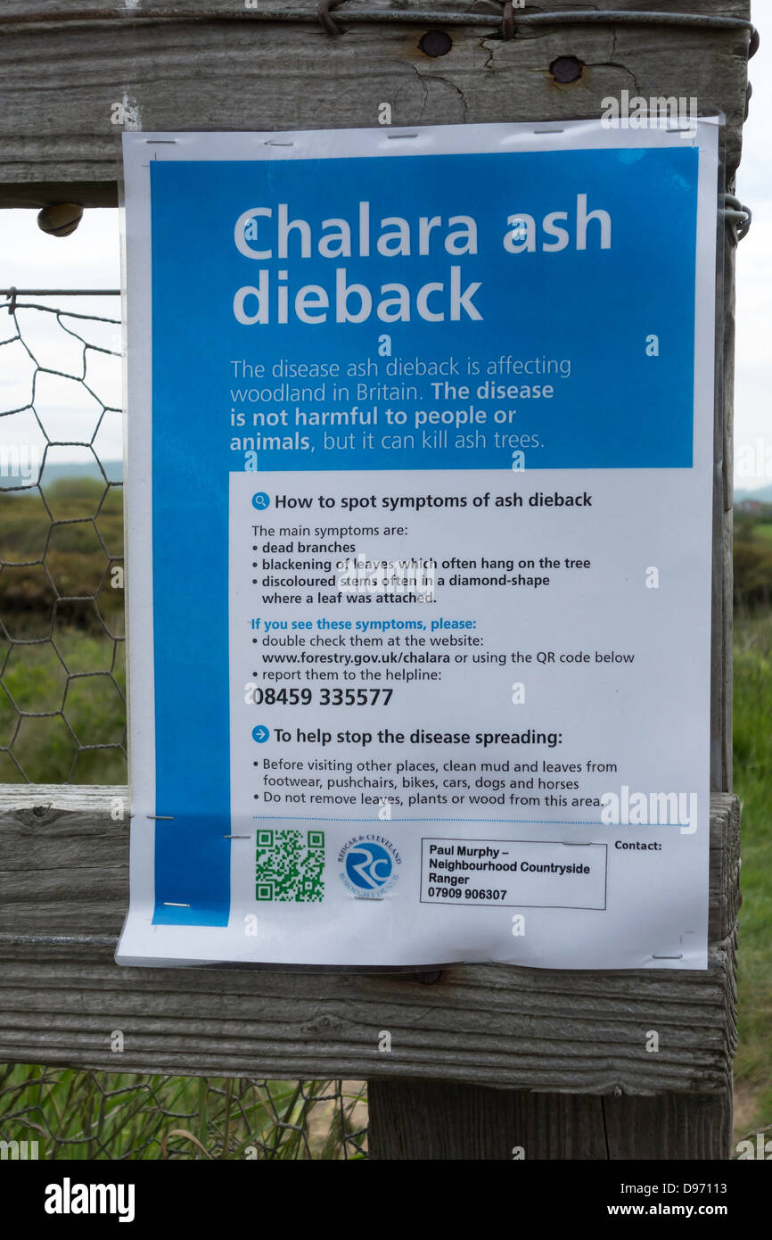 Ash dieback sign hi-res stock photography and images - Alamy