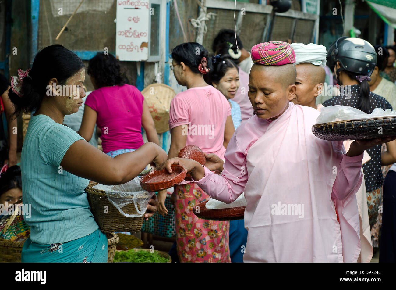 Myanmar nuns burma nun hi-res stock photography and images - Alamy