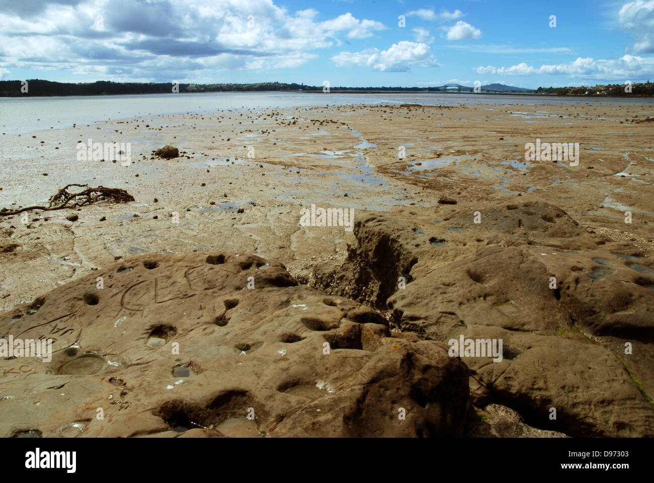 Beach at Kauri Point Centennial Park, Auckland, New Zealand Stock Photo ...
