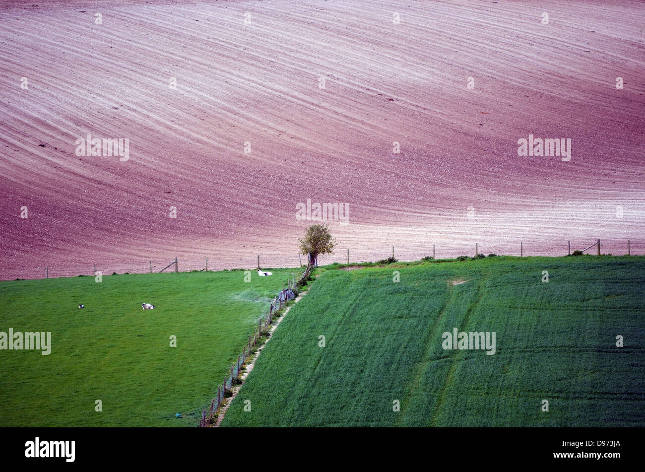 Sparse landscape hi-res stock photography and images - Alamy