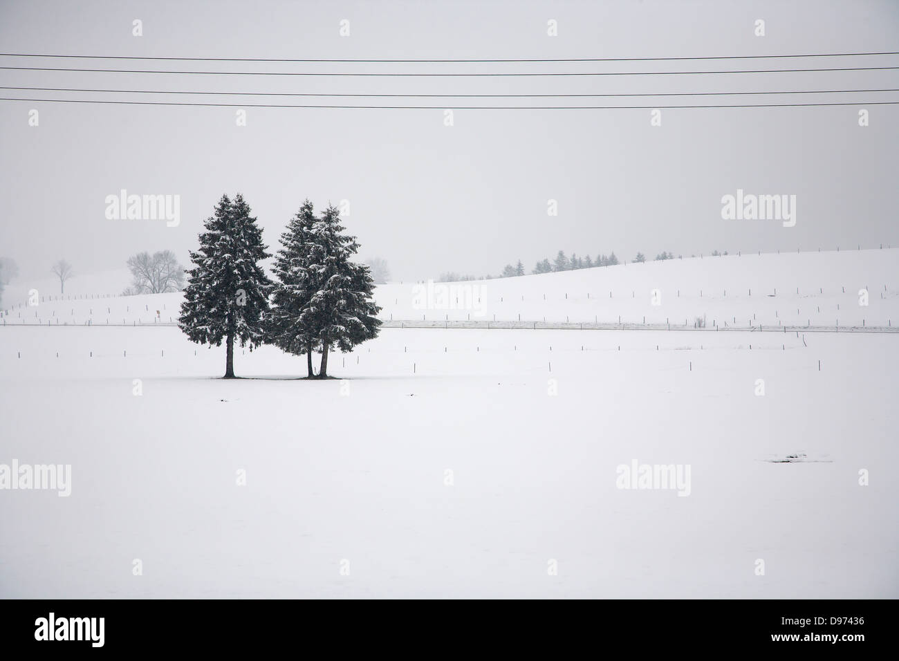 Germany, winter landscape with trees Stock Photo - Alamy