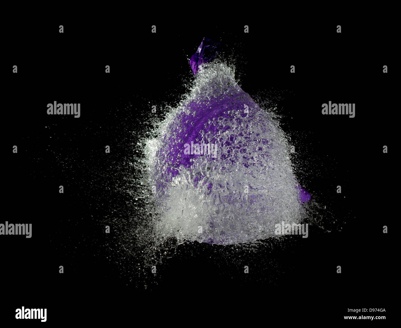 Purple waterballoon bursting against black background, close up Stock ...