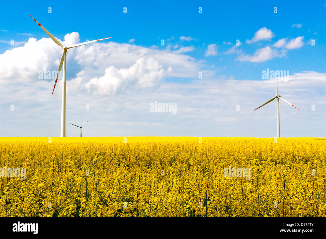 Summer landscape with rape and energy wind turbines farm Stock Photo ...