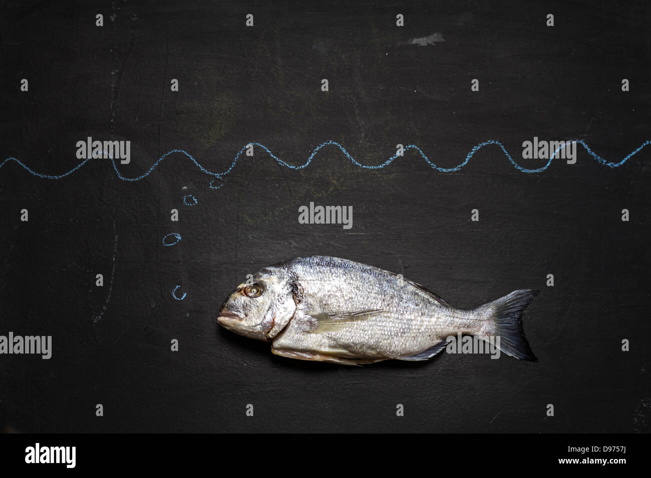 Humour fish hi-res stock photography and images - Alamy