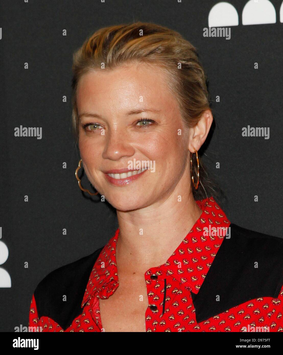 Los Angeles, CA June 12, 2013. Amy Smart at arrivals for This Is ...