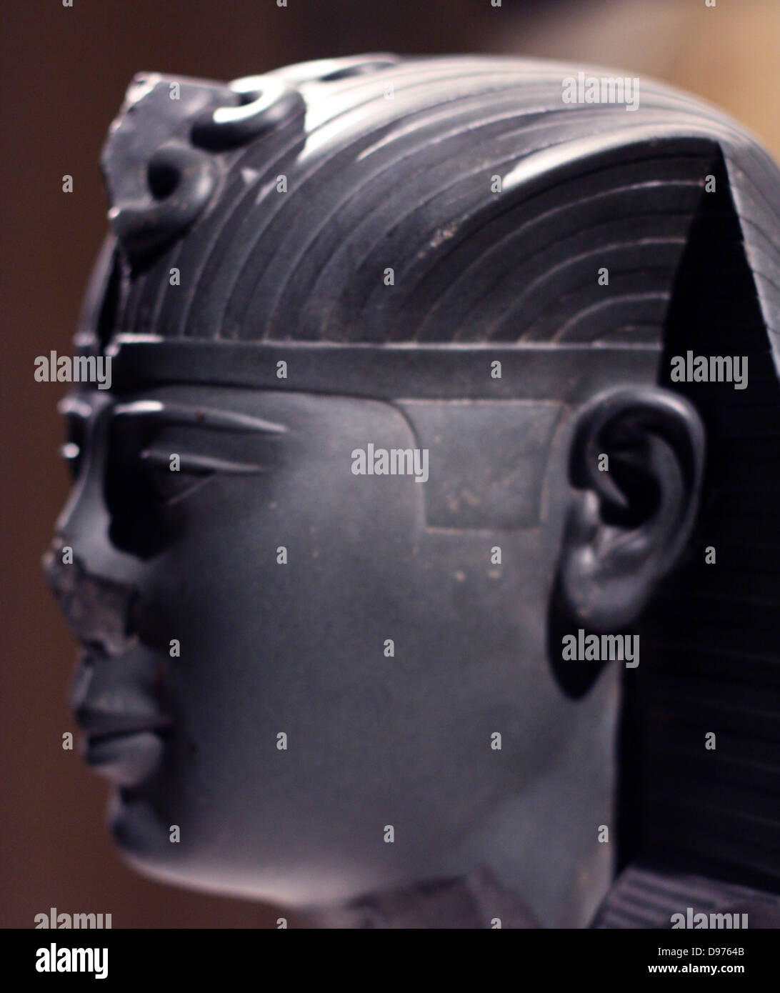 Ii amasis ii fragmentary statue head of amasis ii hi-res stock ...