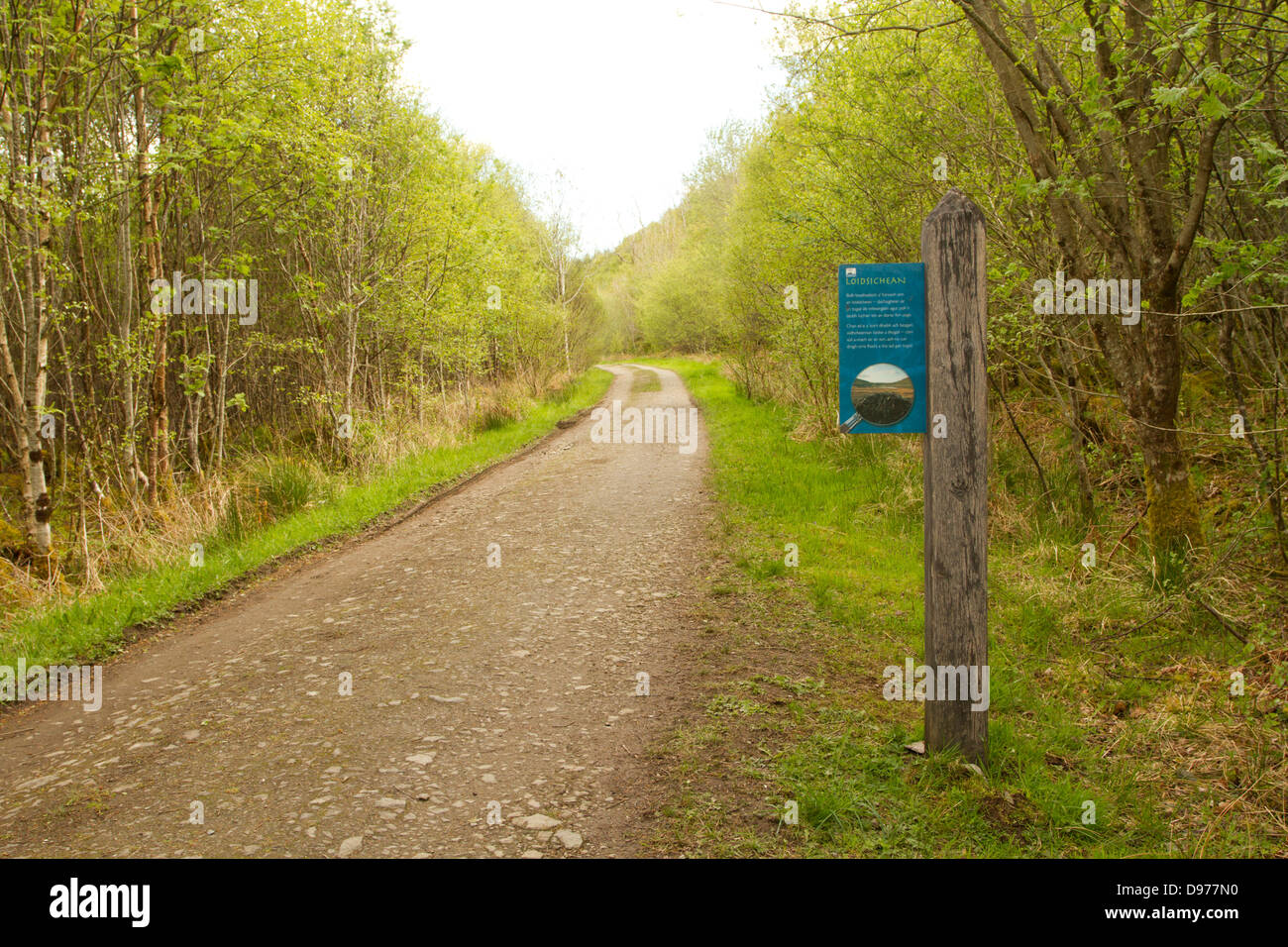 Information sign at Knapdale Forest, site of the Scottish Beaver Trials ...