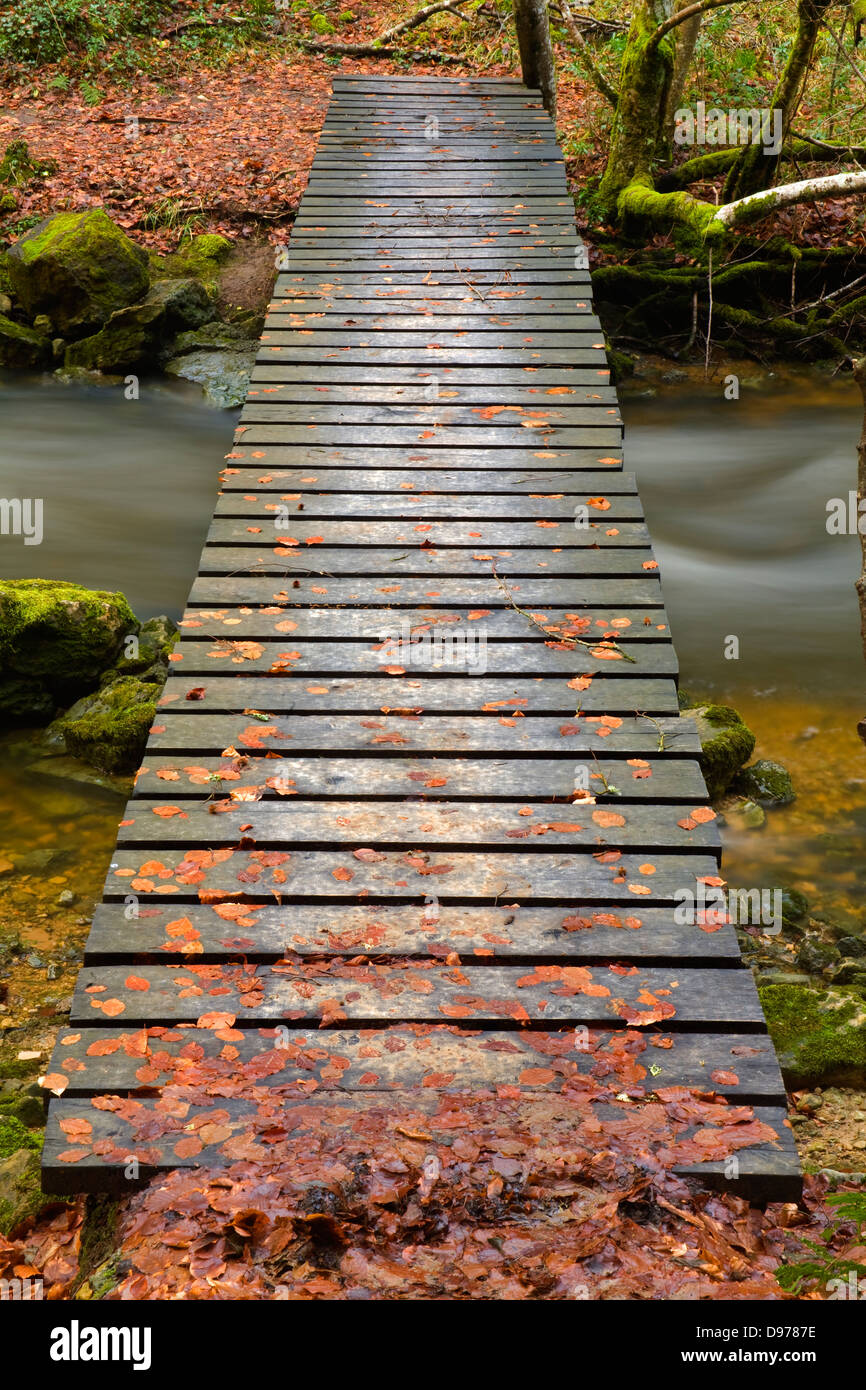 wooden bridge in a river Stock Photo - Alamy