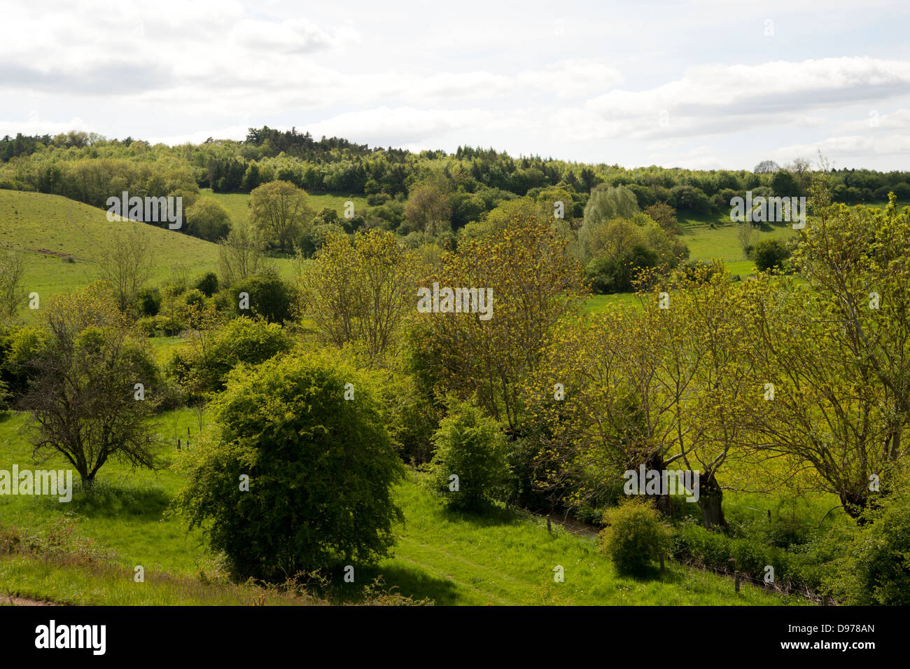 View of the Cotswolds Hills along the Windrush Way near Naunton ...