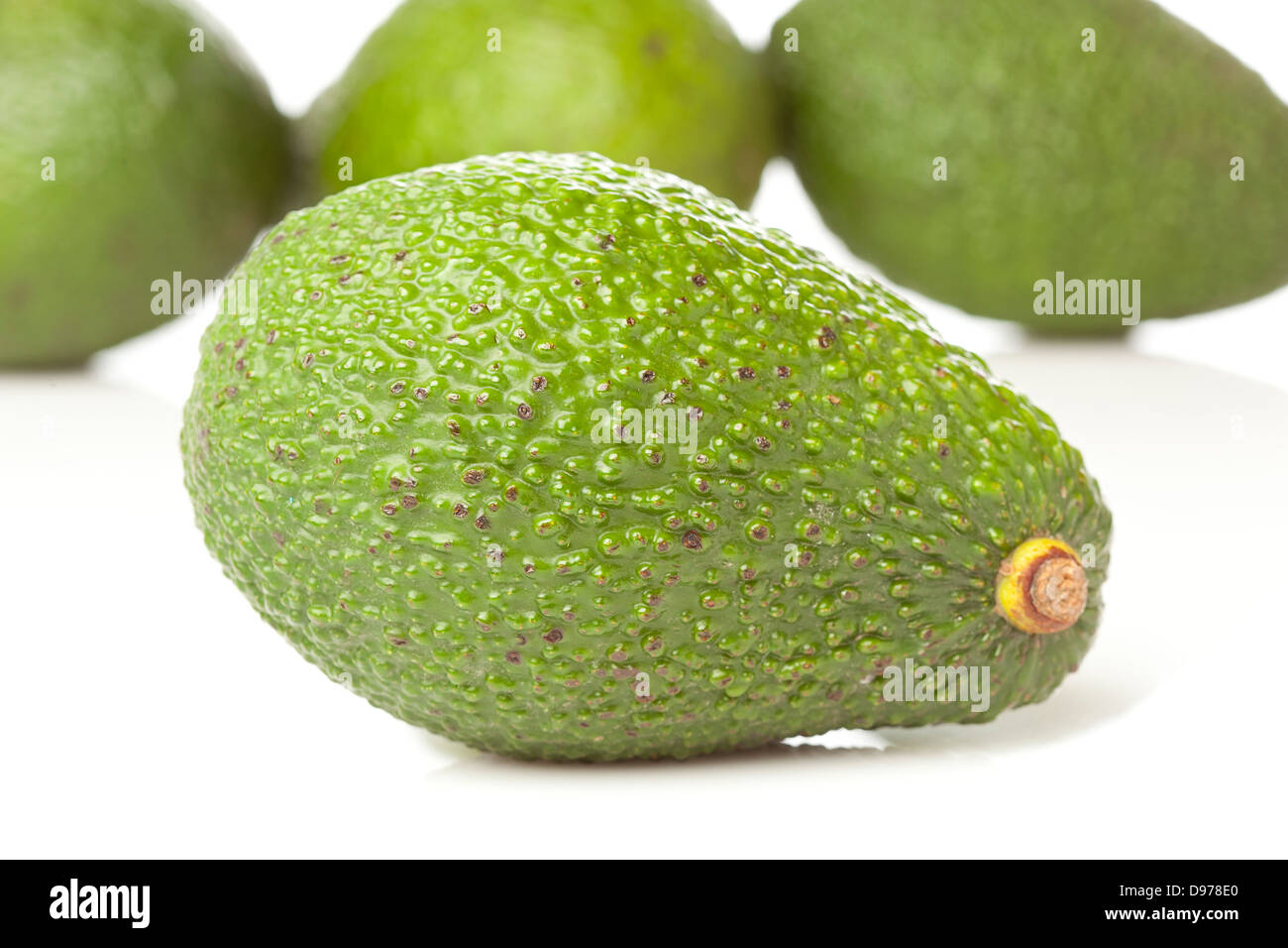 A fresh Organic Green Avocado on a background Stock Photo - Alamy