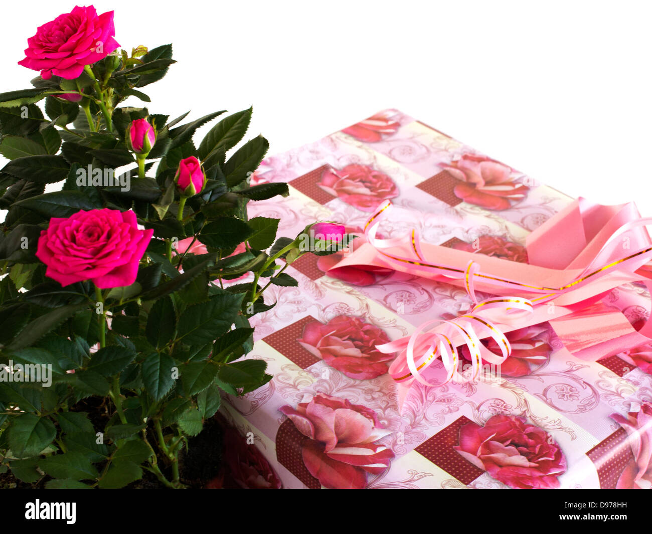 Gift box roses hi-res stock photography and images - Alamy