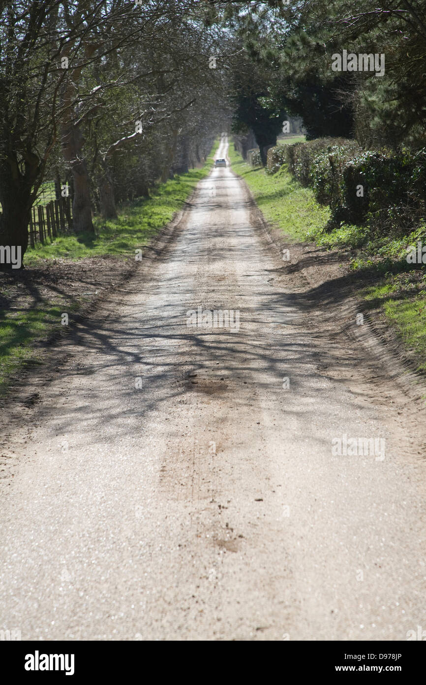 Long straight tree lined country road, Sutton, Suffolk, England Stock ...
