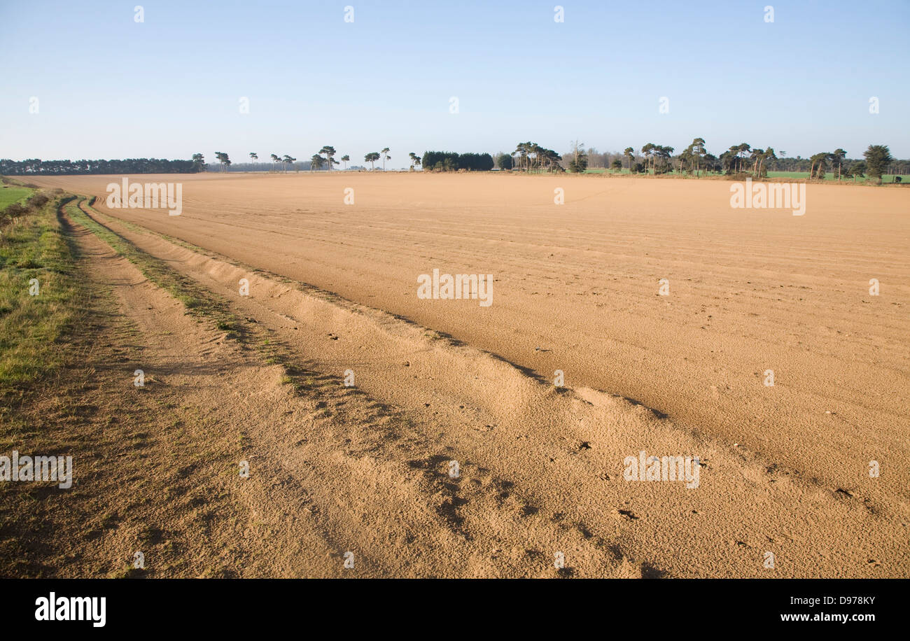 Sandy soil in fields following a strong storm, Suffolk Sandlings at ...