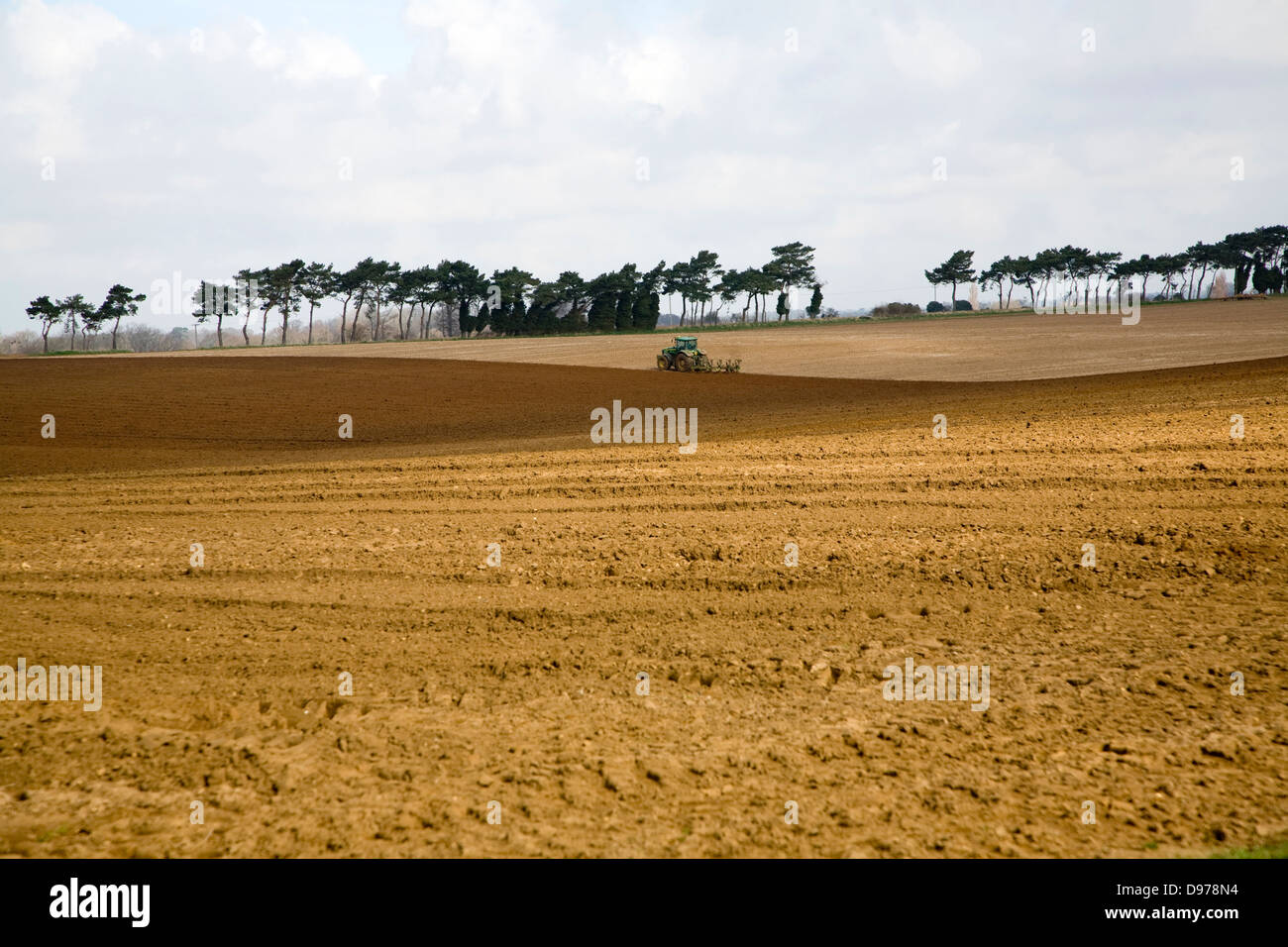 Tractor ploughing land across a shallow valley in Sandlings landscape ...