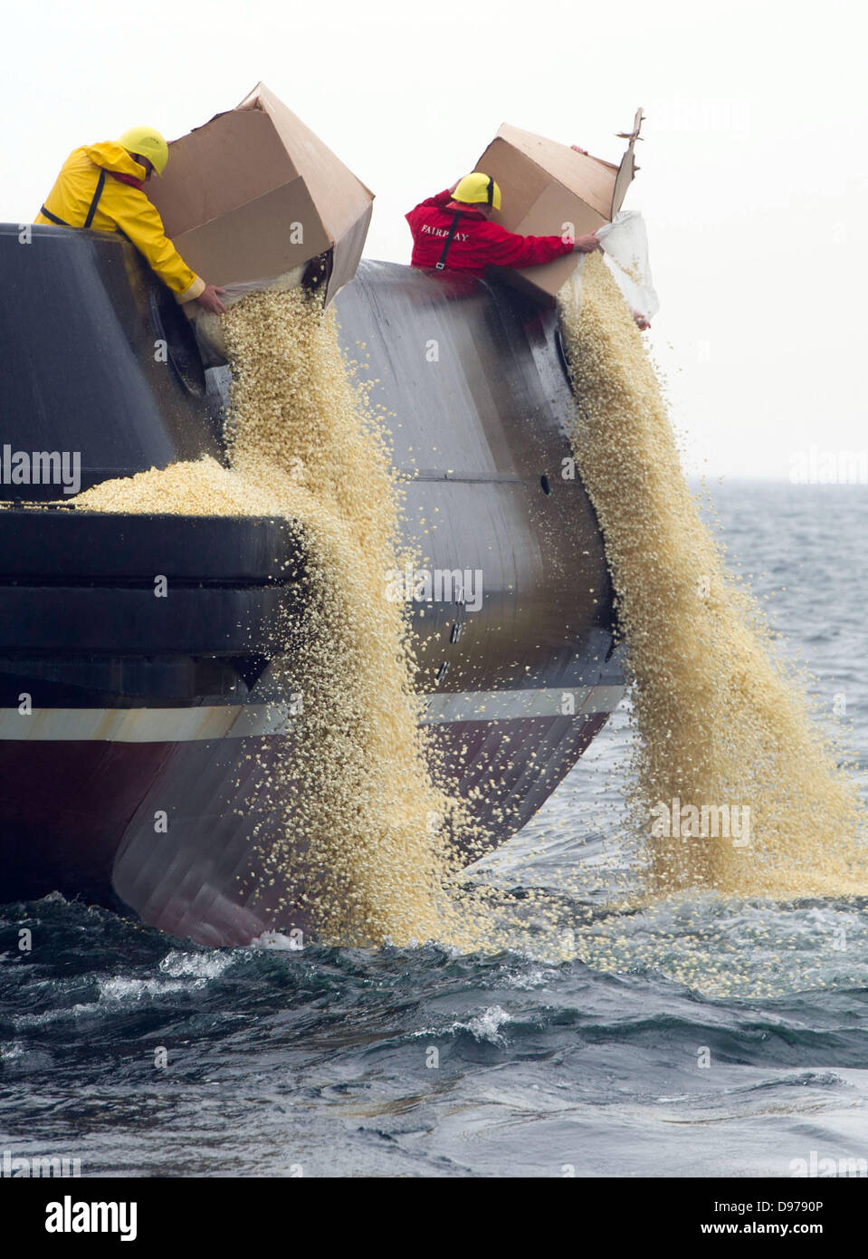 Recruits of the oil recovery vessel 'Baltic' pour popcorn into the ...