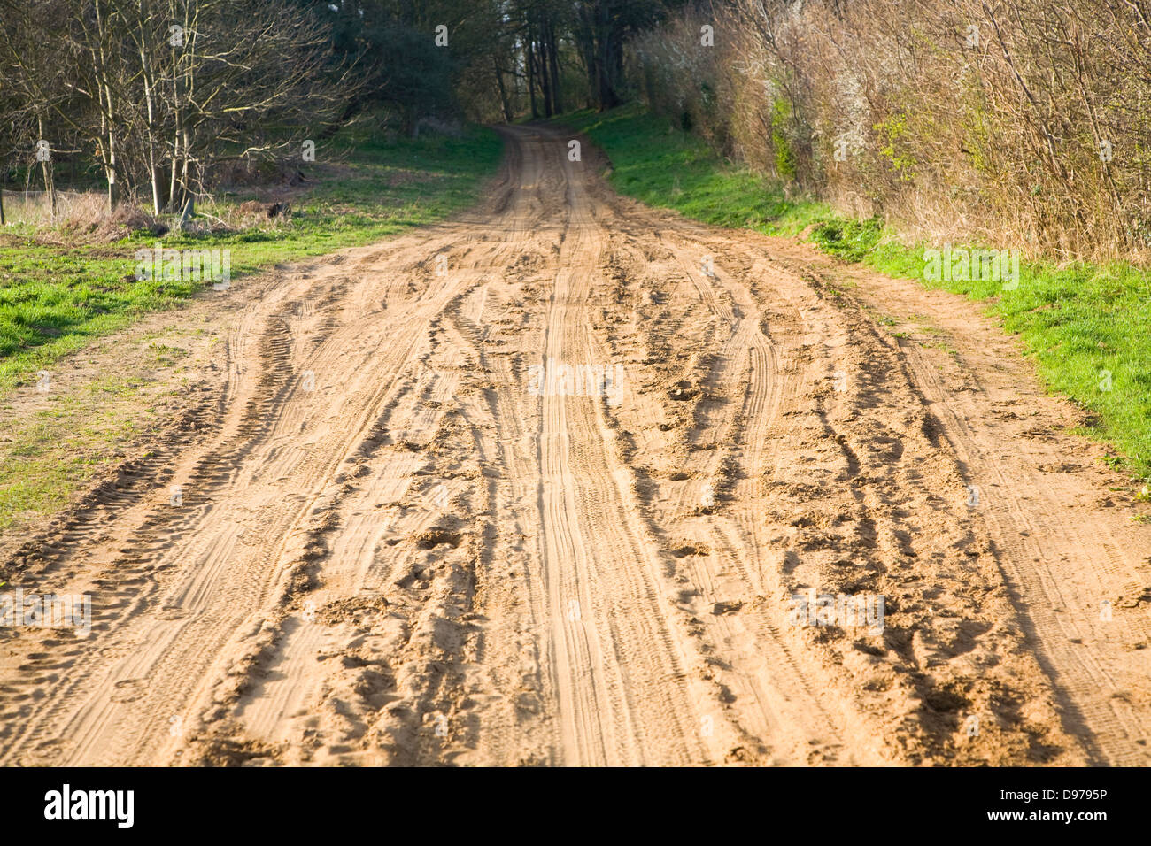 Track crossing sandy land on Suffolk Sandlings, Sutton Suffolk, England ...