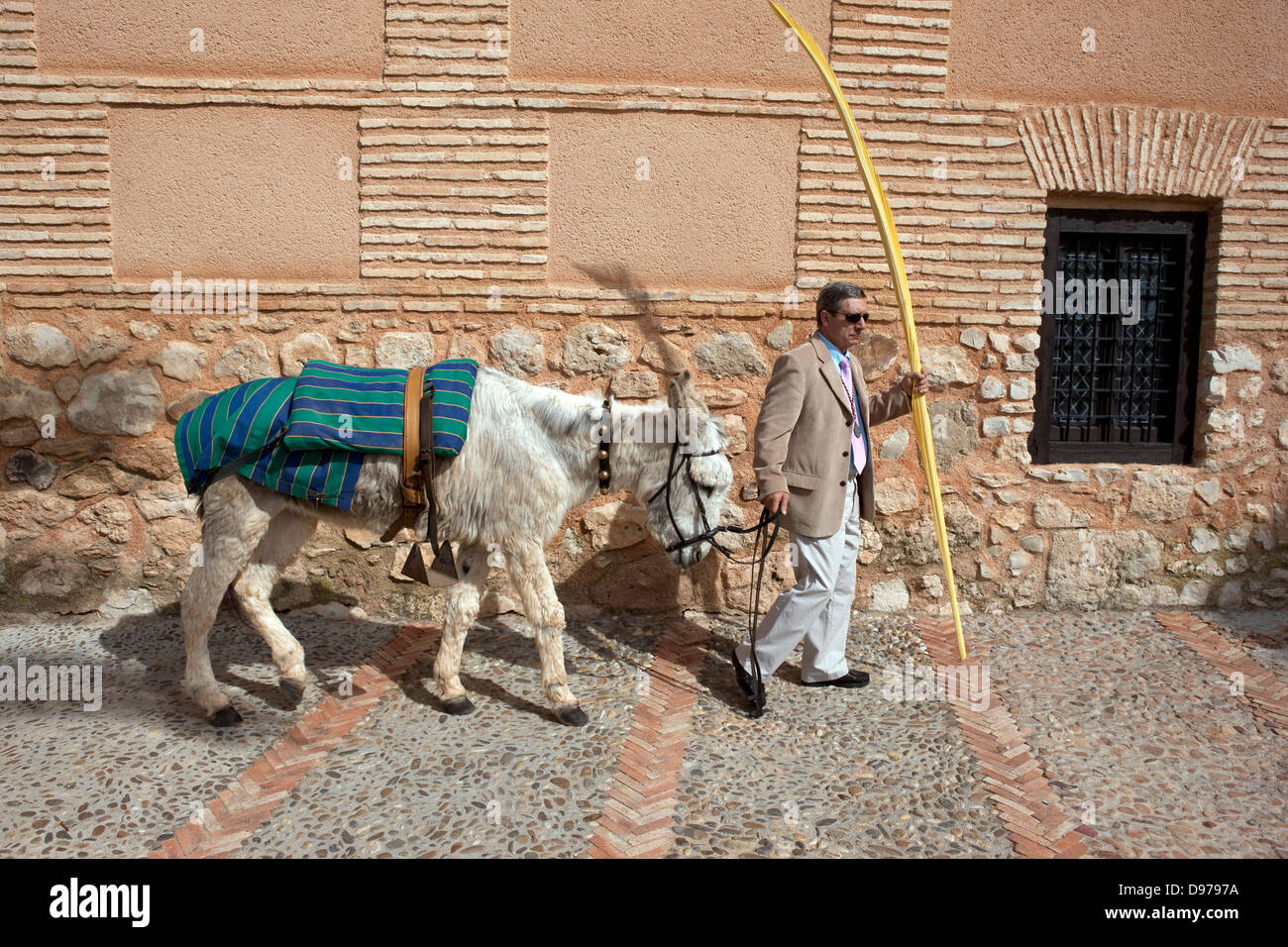 Palm sunday donkey procession hi-res stock photography and images - Alamy
