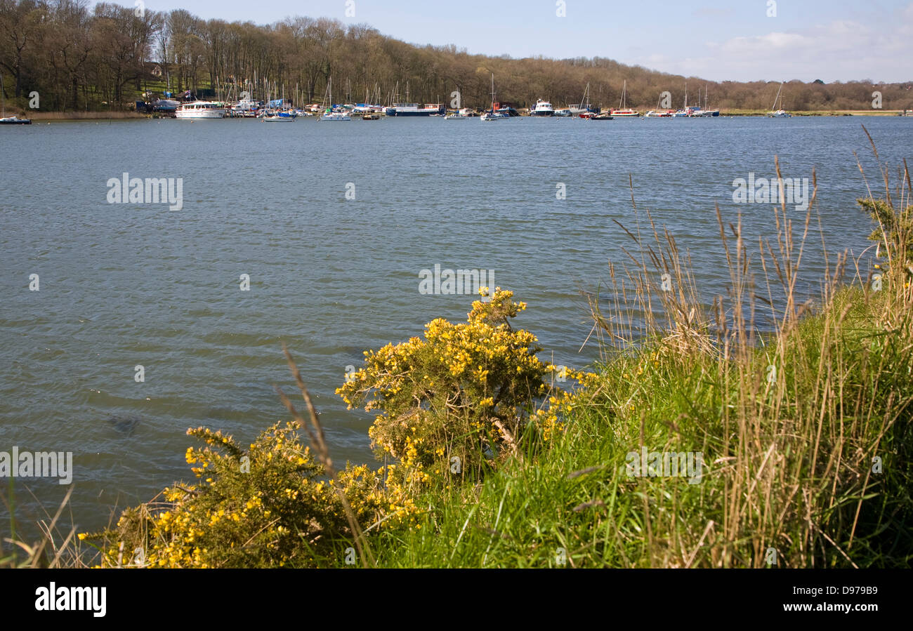 Boats at moorings in Martlesham Creek, River Deben, Woodbridge, Suffolk ...