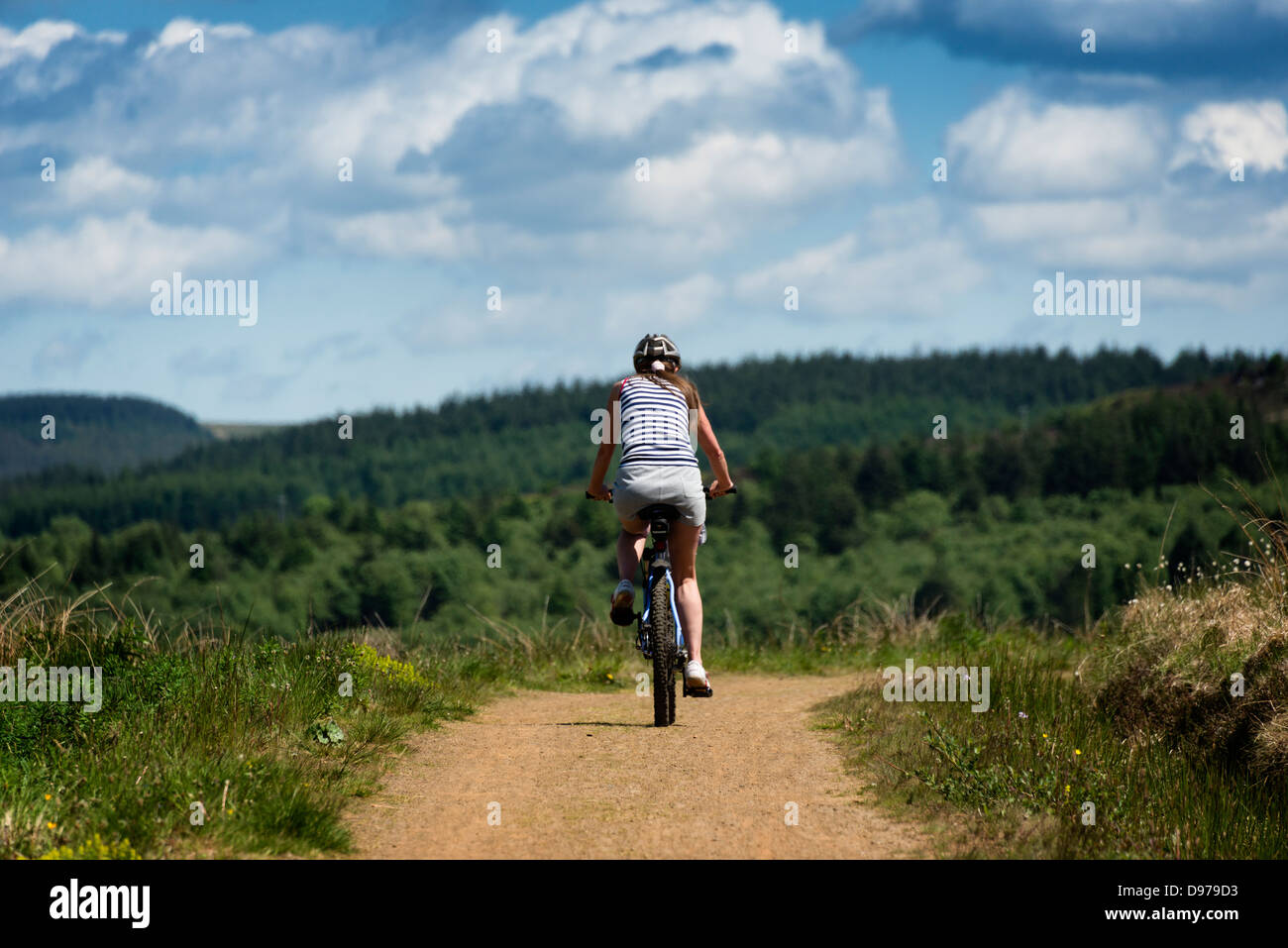 Cyclist on the Lakeside Way near Tower Knowe in the Kielder Forest Park ...