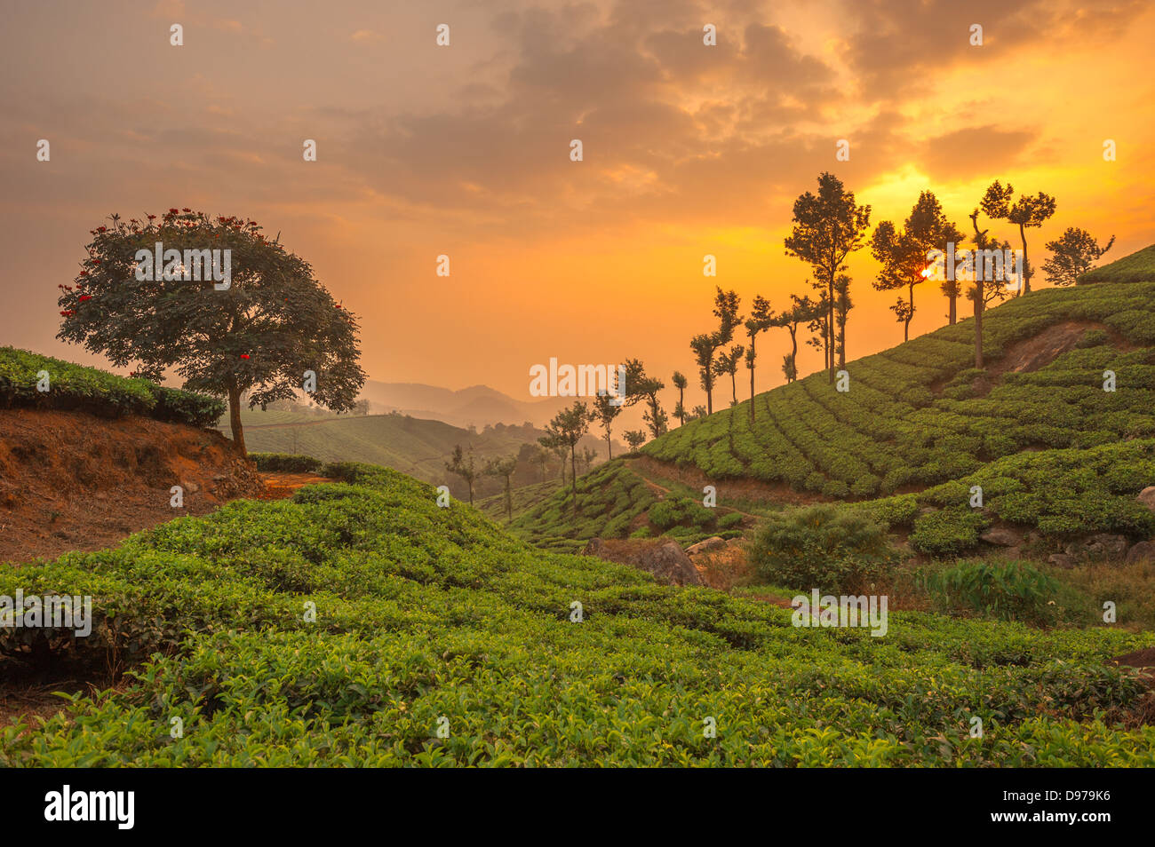 Munnar kerala sunset hi-res stock photography and images - Alamy