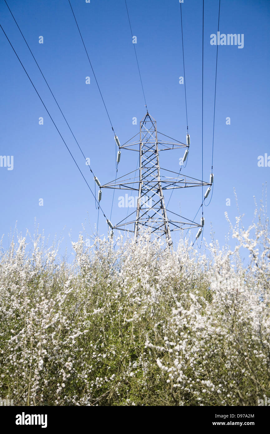 Electricity pylon carrying high voltage wires through blue sky over ...