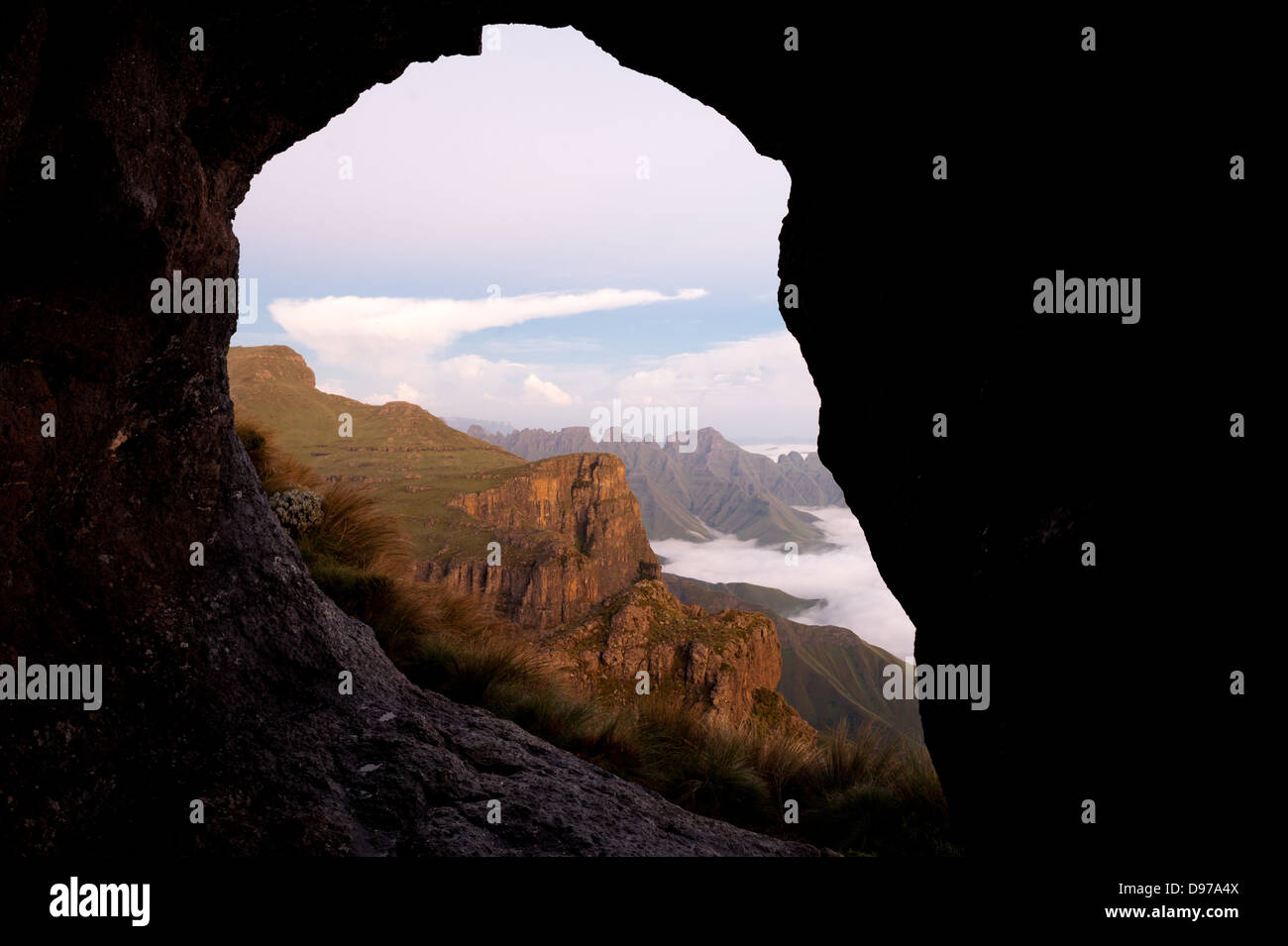 Organ pipes national park hi-res stock photography and images - Alamy