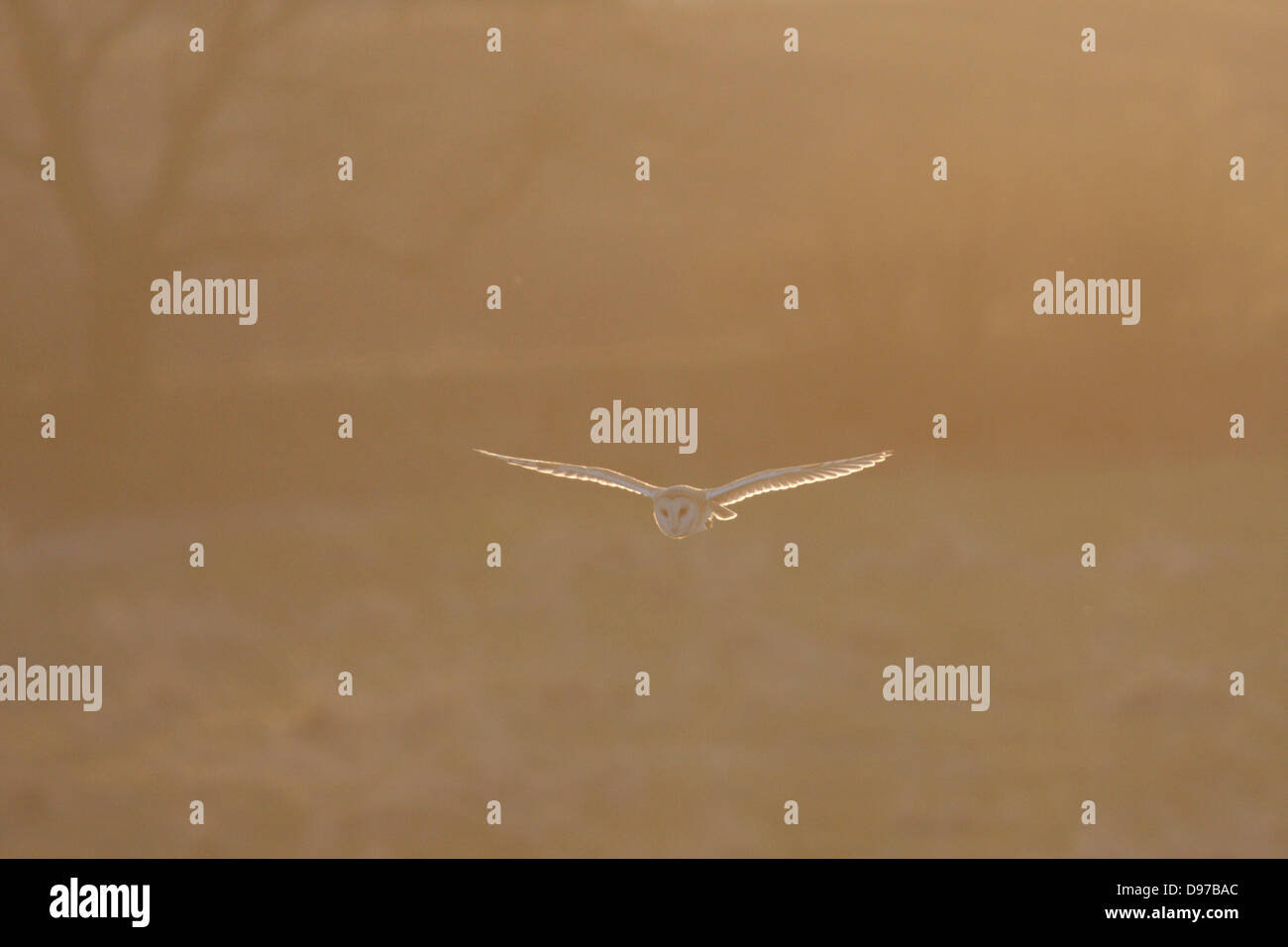 Set aside field hi-res stock photography and images - Alamy